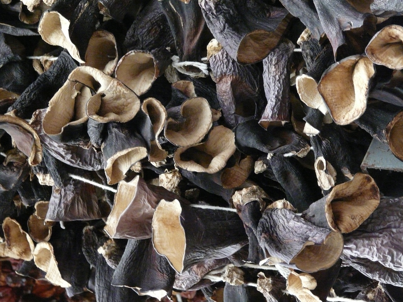 知らなきゃ損！？フランスでよく食べられる美味しいキノコ〜絶品パスタレシピ付き〜 | 南仏さんぽブログ